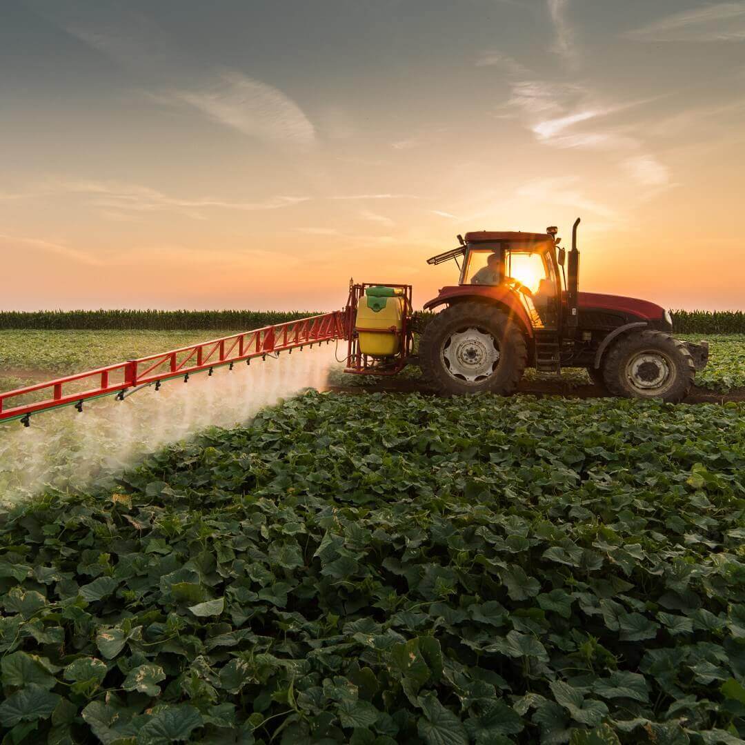 The Effect of Pesticides on Soil and the Environment